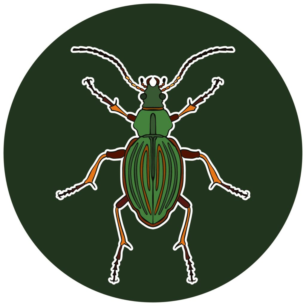 Mayage Jeu De Piste Visuel Miel Maya Honing