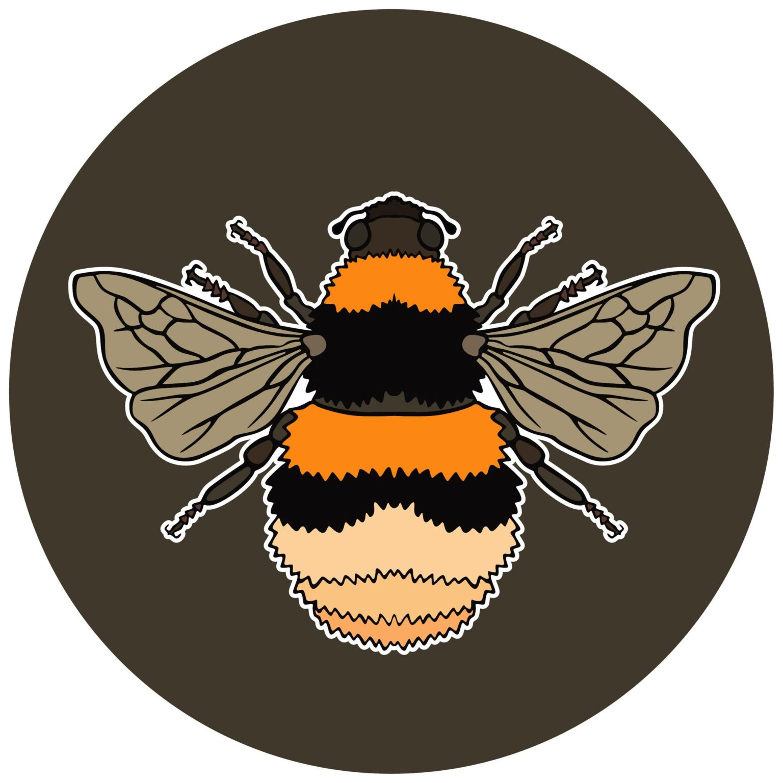 Mayage Jeu De Piste Visuel Miel Maya Honing